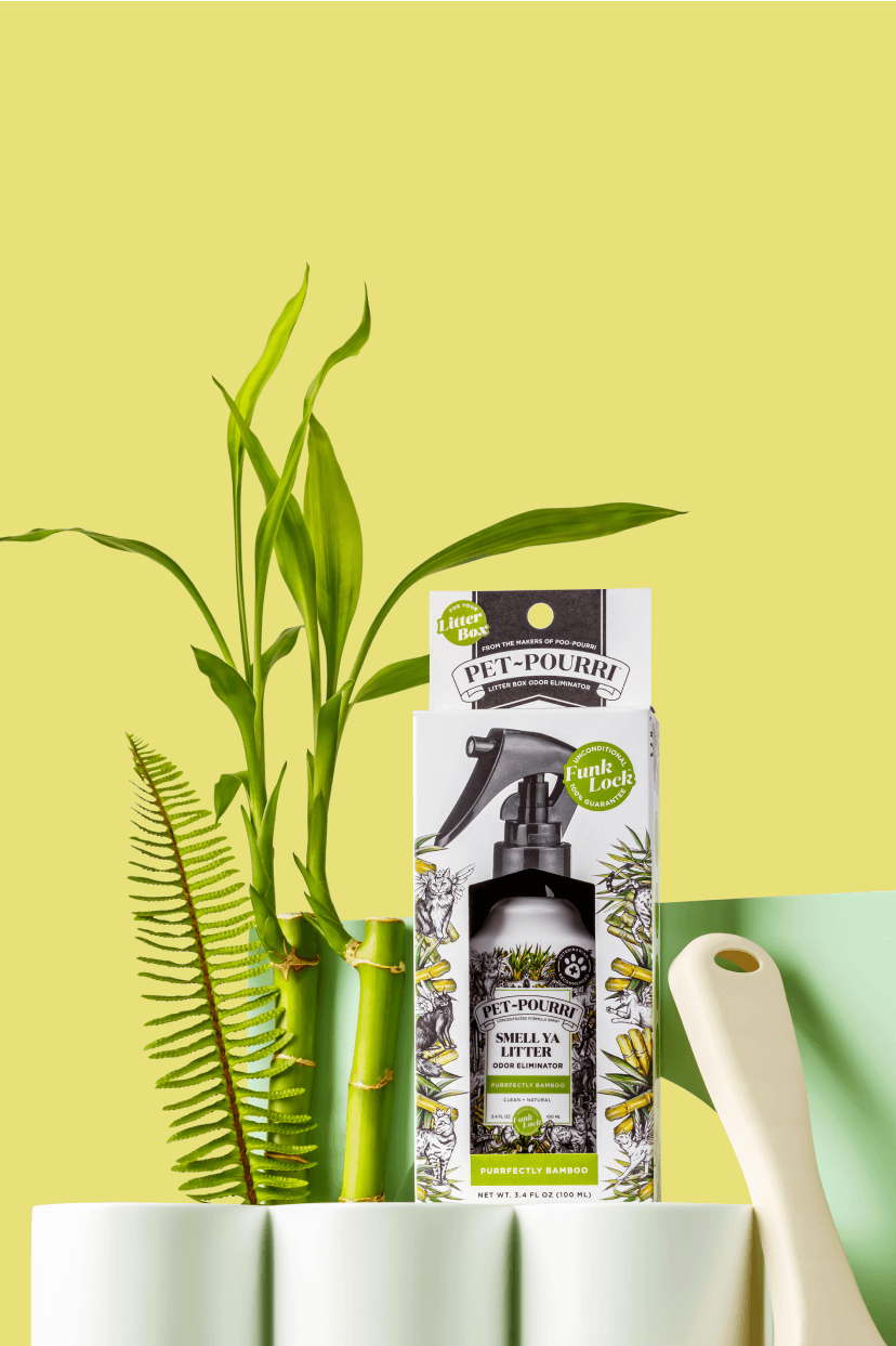 Pet~Pourri: Refresh Cat Odor Solutions for Your Home